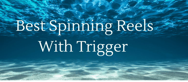 7 BEST Spinning Reels With Trigger 2025: (Reviewed & Ranked)