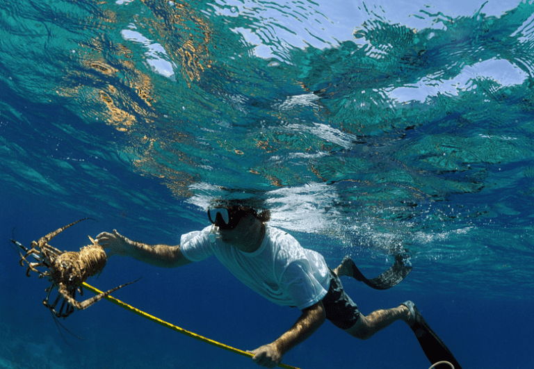 32 Must-Know Spearfishing Tips (For Beginners to Advanced)