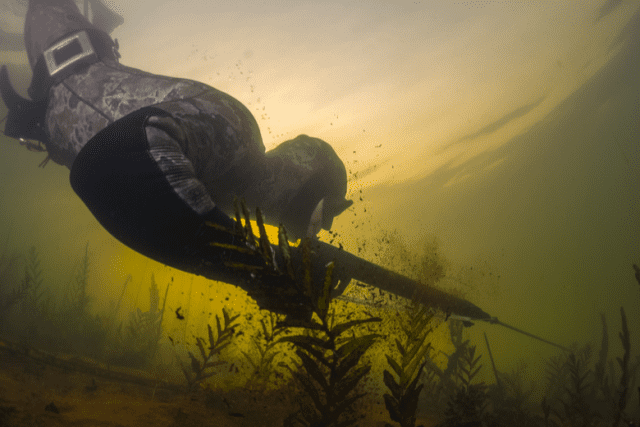 32 Must-Know Spearfishing Tips (For Beginners to Advanced)